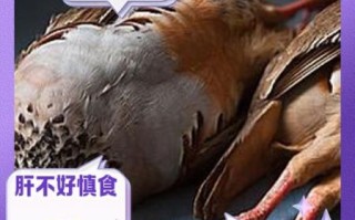 鹌鹑肉的功效与禁忌_哪些人不能吃