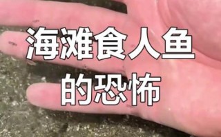 食人鱼事件_食人鱼真的会攻击人吗