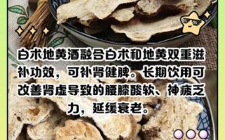补肾壮阳酒哪个好_怎么泡最有效