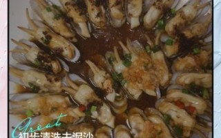 蛏子内脏需要挤出来清洗么_蛏子怎么洗才干净