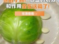 青甘蓝和卷心菜的区别_哪个营养价值更高