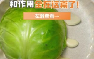 青甘蓝和卷心菜的区别_哪个营养价值更高 青甘蓝和卷心菜的区别_哪个营养价值更高