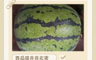 西瓜皮能减肥吗_西瓜皮减肥怎么吃