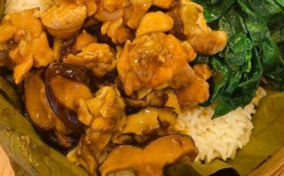 鸡肉焖饭怎么做_鸡肉焖饭用什么锅最好