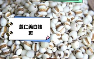 薏米和薏仁的区别_薏米和薏仁一样吗