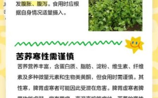 苦荞麦的功效与副作用_哪些人不能吃