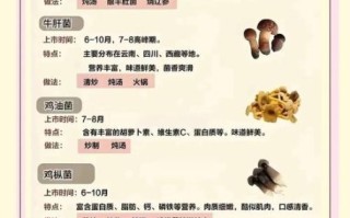 炒熟菌类可以隔夜吃吗_隔夜菌菇安全指南