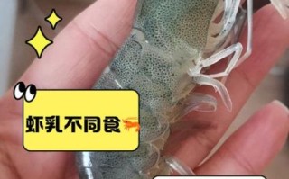 虾和什么不能一起吃_虾相克食物有哪些