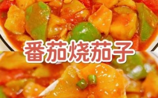番茄茄子怎么做好吃_家常做法步骤详解