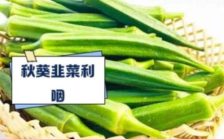 秋葵和韭菜哪个壮阳_秋葵壮阳还是韭菜壮阳