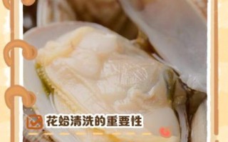 花蛤怎么去内脏_花蛤内脏清理视频教程