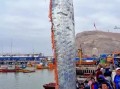 皇带鱼图片_为什么恐怖