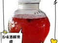 五味子酒的功效与作用_五味子酒适合什么人喝