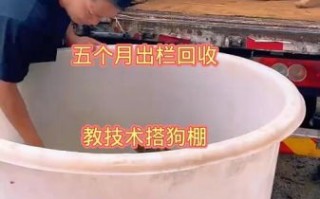 肉狗养殖场赚钱吗_肉狗养殖成本利润分析