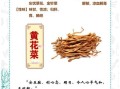 黄花菜的功效与作用禁忌_什么人不能吃