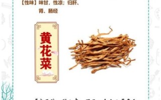黄花菜的功效与作用禁忌_什么人不能吃