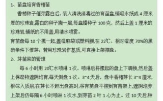 香椿芽苗菜怎么种_香椿芽苗菜种植技术