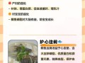 鲫鱼豆腐汤的功效与作用_鲫鱼豆腐汤的营养价值