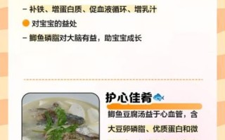 鲫鱼豆腐汤的功效与作用_鲫鱼豆腐汤的营养价值