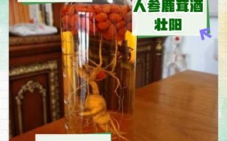 鹿茸泡酒的功效与禁忌_哪些人不能喝