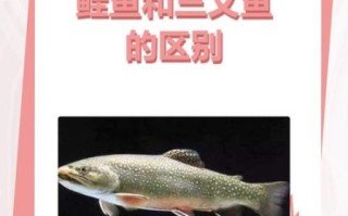 鲑鱼读音怎么读_鲑鱼念gui还是hua