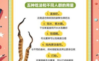 虫草怎么吃最好_虫草最简单的吃法