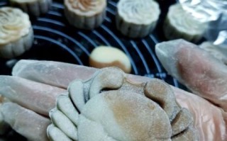 紫薯冰皮月饼怎么做_紫薯冰皮月饼简易做法