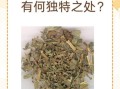 仙鹤草图片功效与作用_仙鹤草能治什么病