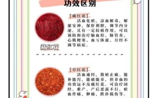 藏红花长什么样_藏红花花朵图片怎么分辨真假