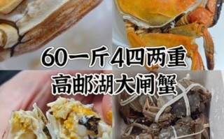 阳澄湖6两大闸蟹多少钱一只_正宗价格怎么辨别 阳澄湖6两大闸蟹多少钱一只_正宗价格怎么辨别