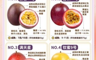 百香果吃了有什么好处_百香果的功效与作用 百香果吃了有什么好处_百香果的功效与作用