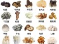 鲜蘑的营养价值有哪些_鲜蘑怎么吃最健康