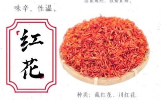 藏红花有什么功效与禁忌_藏红花泡水喝的正确方法