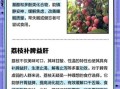 荔枝的营养价值与功效_荔枝吃多了会上火吗