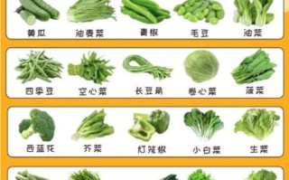 青菜种类有哪些_青菜怎么挑选最新鲜