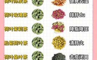 荷叶茶和什么搭配最好减肥_荷叶茶减肥最佳搭配