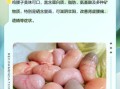 鸡子的功效与作用是什么_鸡子怎么吃最补
