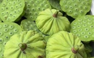 莲蓬怎么保存新鲜_莲蓬可以放冰箱吗