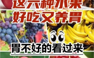 肠胃不好吃什么水果_肠胃不好适合吃哪些水果