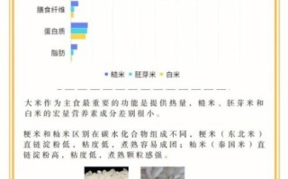 糙米是什么_糙米和白米的区别