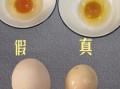 土鸡蛋的营养价值_土鸡蛋和普通鸡蛋的区别