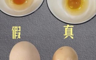 土鸡蛋的营养价值_土鸡蛋和普通鸡蛋的区别