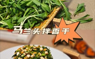 香干炒马兰头怎么做_香干炒马兰头要焯水吗