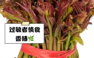 香椿芽什么人不能吃_香椿芽禁忌人群有哪些