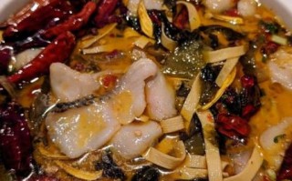 水煮鱼片怎么做好吃_水煮鱼片的家常做法步骤