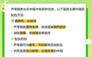 芦苇根的功效与作用_芦苇根能天天泡水喝吗
