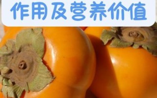 柿子有什么功效_吃柿子能降火吗