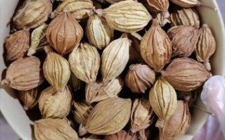 怎么卤肉最入味最好吃_卤肉用什么香料最香