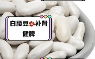 腰豆的功效与作用_腰豆怎么吃最健康