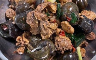 田螺怎么煮才好吃入味_田螺煮多久才够香